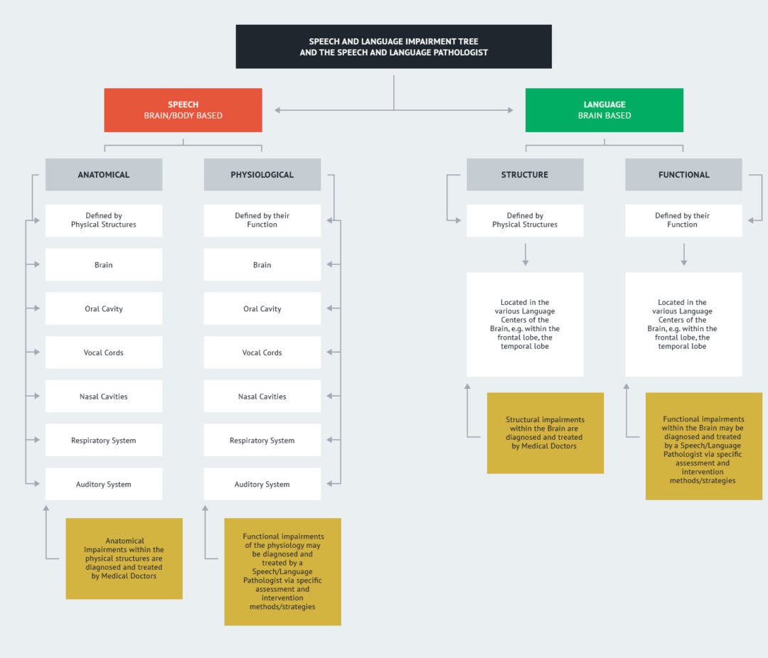 Flow Chart - Children’s Speech Care