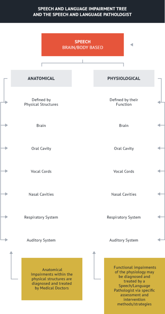 Flow Chart - Children’s Speech Care